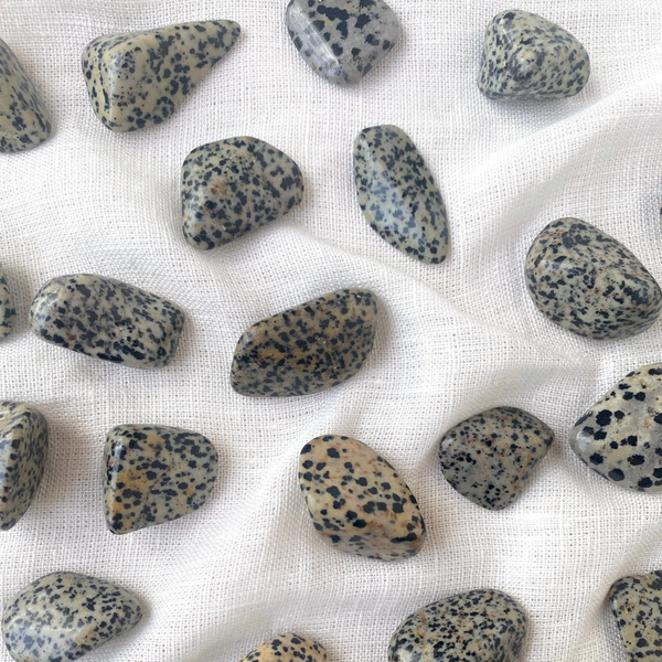 Dalmation Jasper - The Healing Hedge Witch