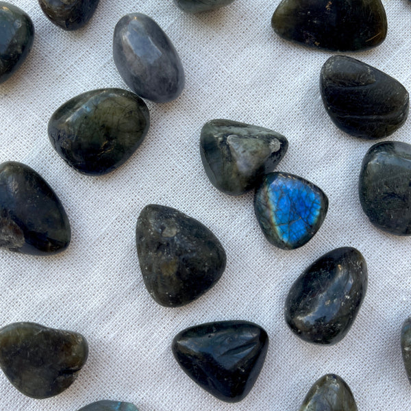 Labradorite Tumble - The Healing Hedge Witch